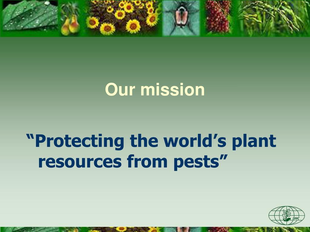 PPT - The International Plant Protection Convention (IPPC) PowerPoint ...