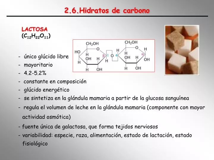 PPT - LACTOSA (C 12 H 22 O 11 ) PowerPoint Presentation, free download ...