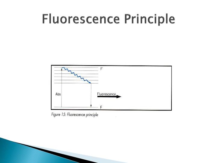 PPT - Overview of Real -Time PCR PowerPoint Presentation - ID:677356