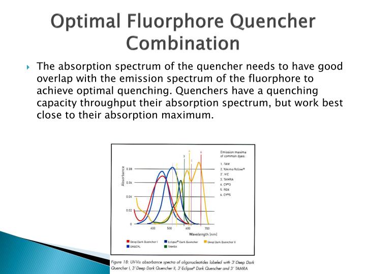 PPT - Overview of Real -Time PCR PowerPoint Presentation - ID:677356