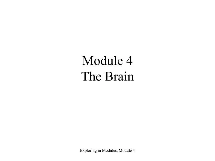 PPT - Module 4 The Brain PowerPoint Presentation, free download - ID:677993
