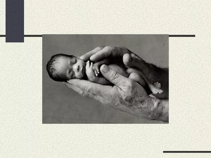 PPT - “Is my child too short?” PowerPoint Presentation, free download ...