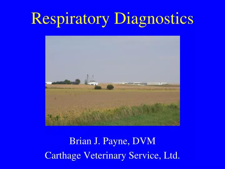 PPT - Respiratory Diagnostics PowerPoint Presentation, free download ...