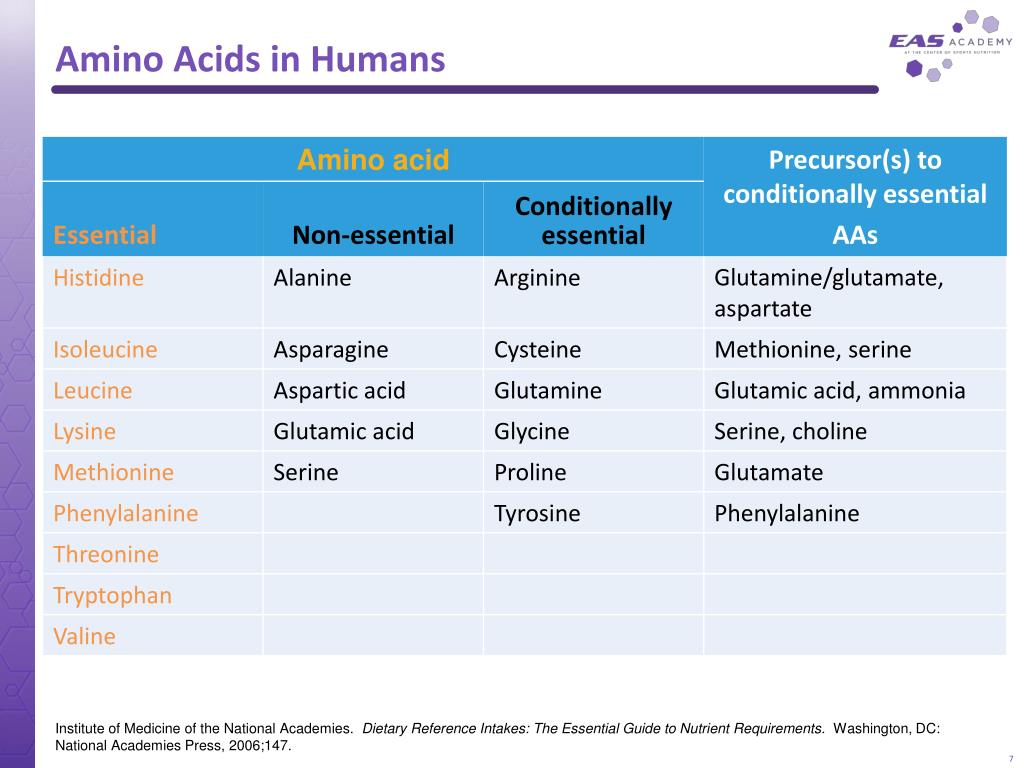 PPT - Protein and Amino Acids in Sports Nutrition PowerPoint ...