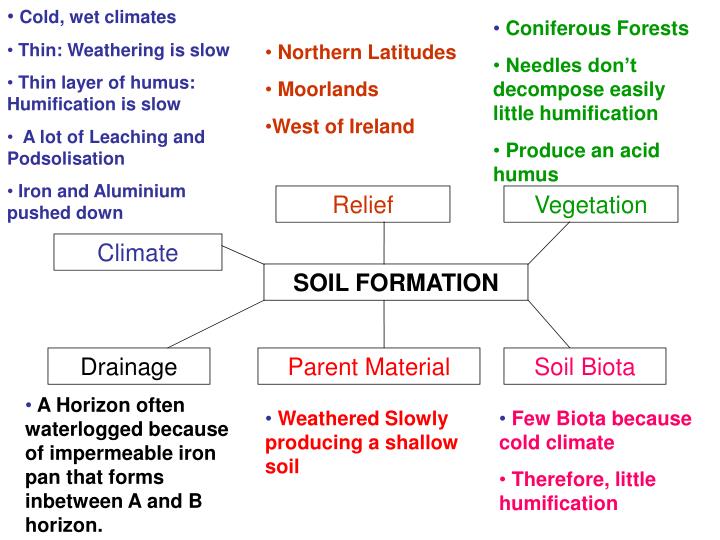 PPT - SOIL FORMATION PowerPoint Presentation - ID:680872