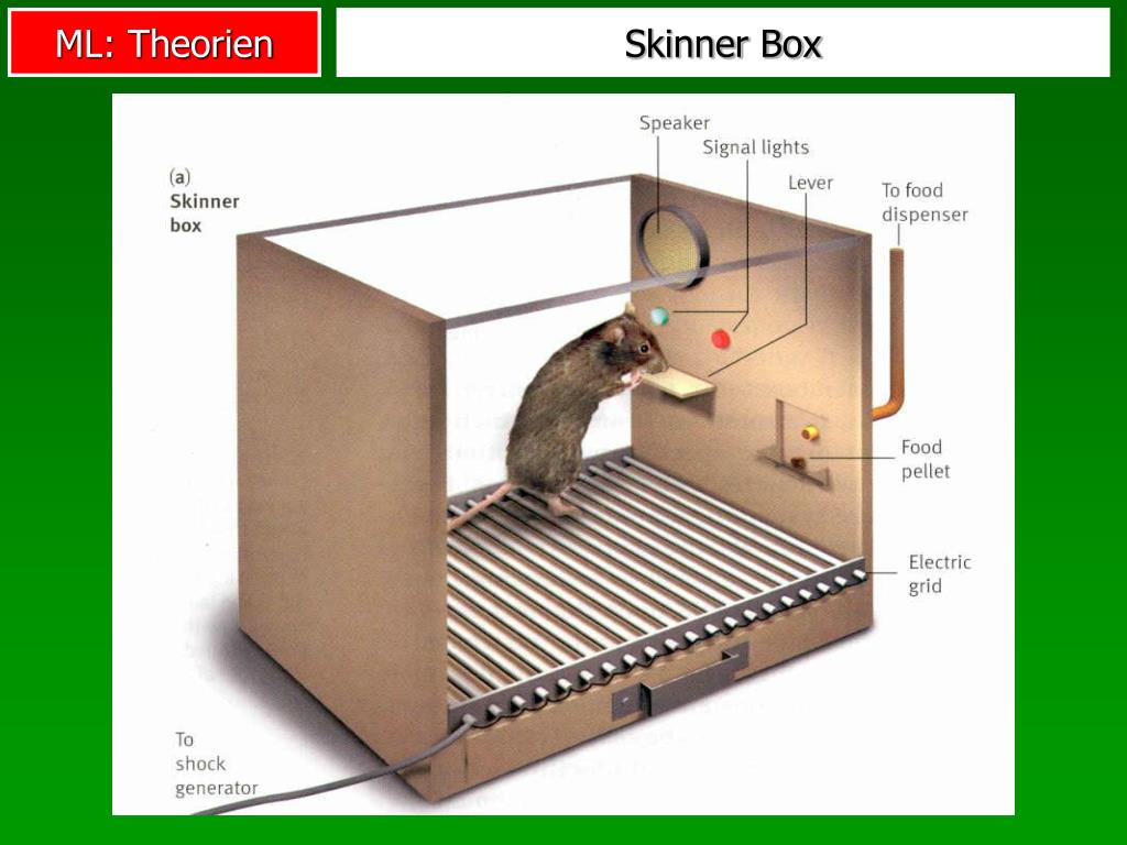 PPT - VL Bewegungswissenschaft 8. Motor Learning: Theorien PowerPoint ...