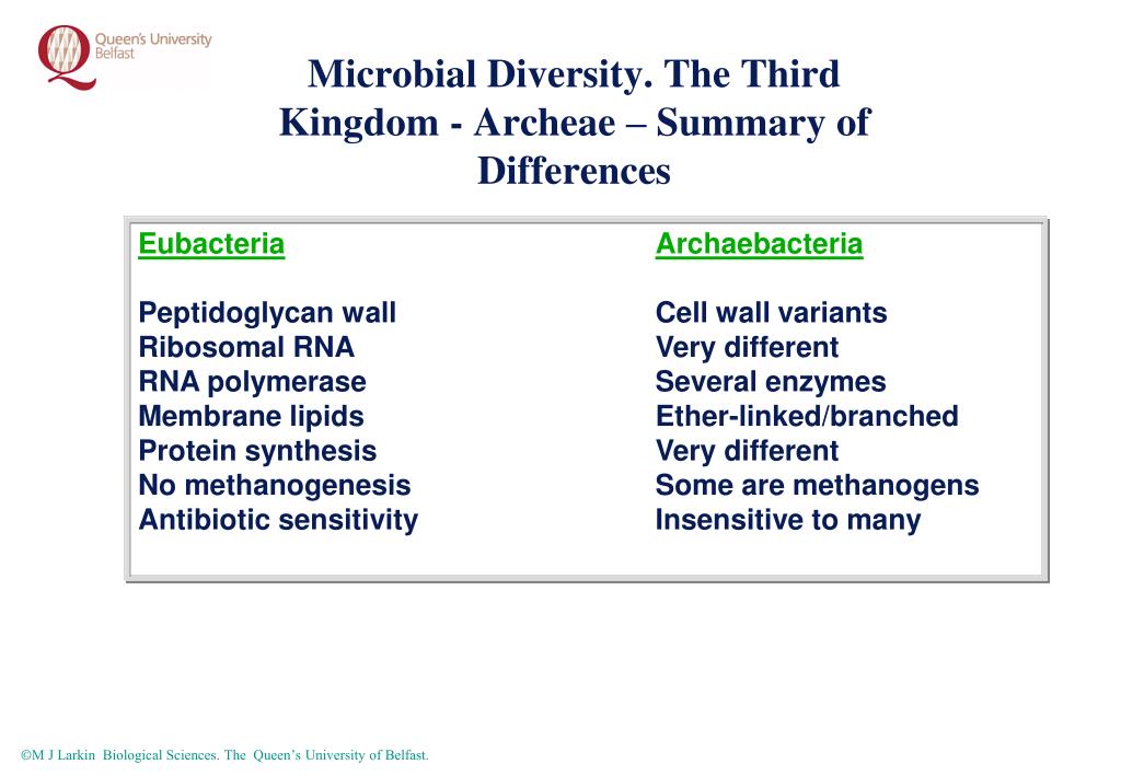 PPT - Overview of Microbial Diversity. Three Kingdoms PowerPoint ... PPT - Overview of Microbial Diversity. Three Kingdoms PowerPoint ...