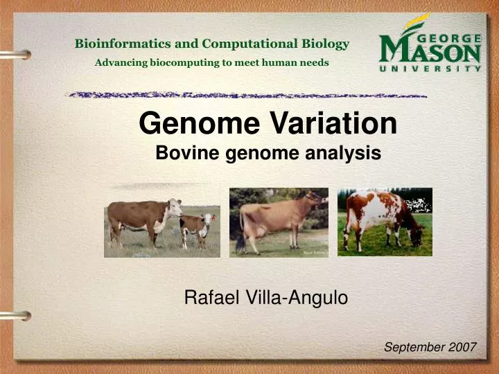 PPT - Genome Variation Bovine genome analysis PowerPoint Presentation ...