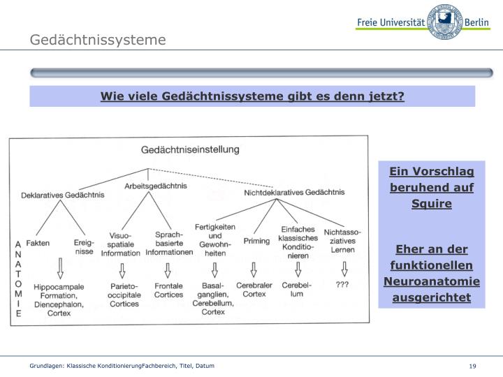 PPT - Lernen & Gedächtnis PowerPoint Presentation - ID:683426