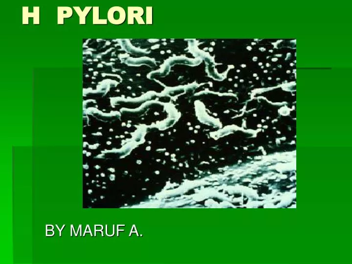 PPT - H PYLORI PowerPoint Presentation, free download - ID:684783