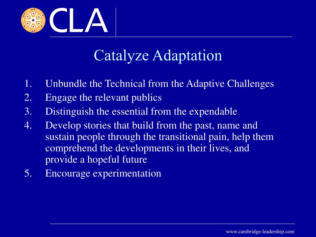 PPT - Leadership in a (Permanent) Crisis Ronald Heifetz PowerPoint ...