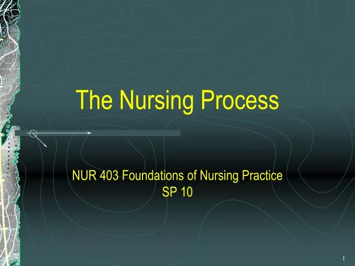 PPT - The Nursing Process PowerPoint Presentation, free download - ID ...