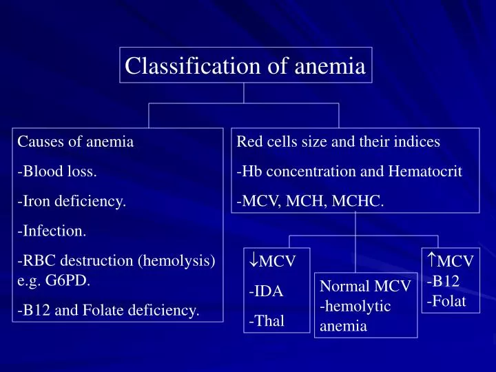Ppt Classification Of Anemia Powerpoint Presentation Free Download Id686060