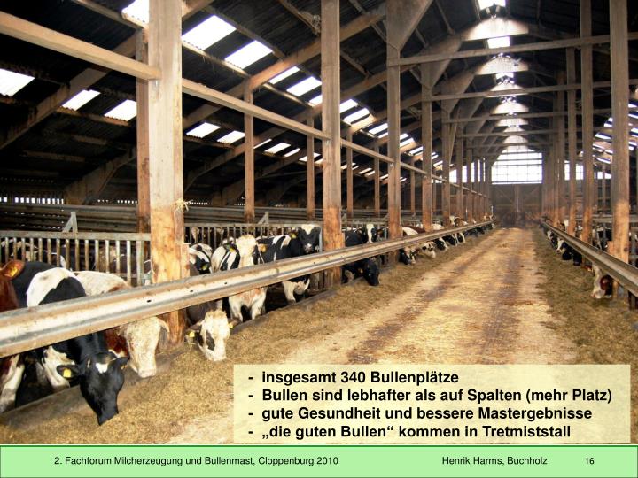 PPT - „Intensive Bullenmast auf Spalten oder Stroh - und weiteres ...