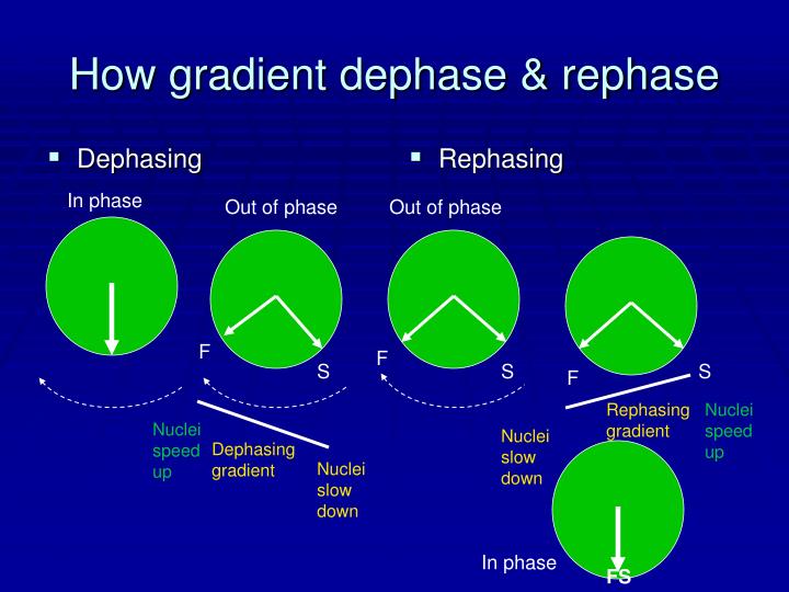 PPT - Magnetic Resonance Imaging 4 PowerPoint Presentation - ID:689622
