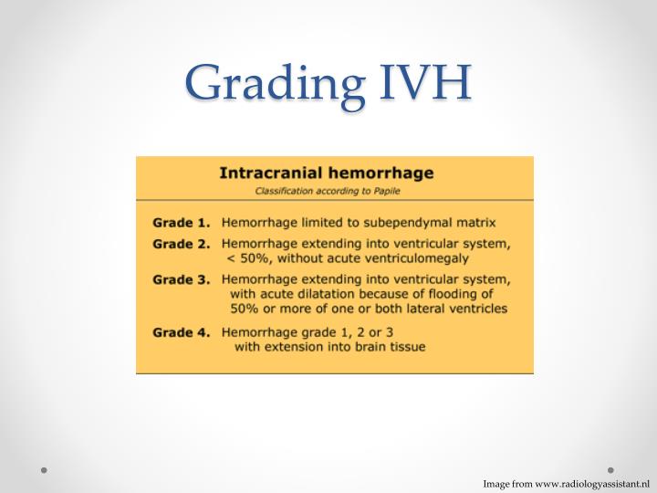 PPT - Intraventricular Hemorrhage in the Neonate PowerPoint ...