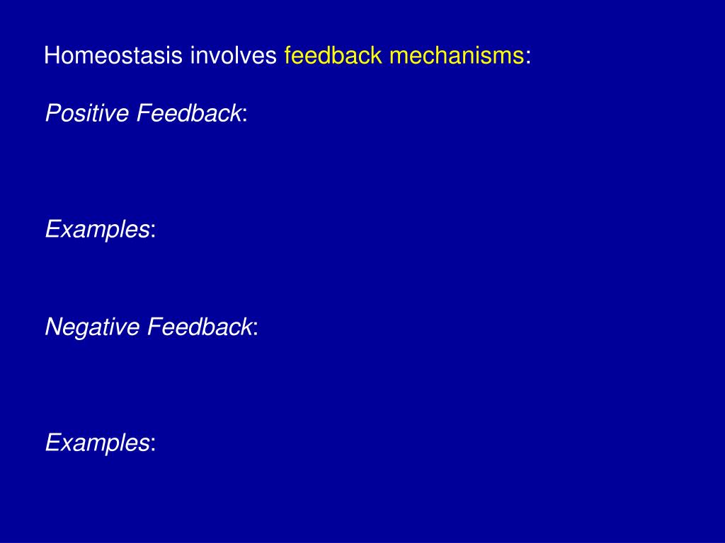 PPT - Biology 211 Anatomy & Physiology I PowerPoint Presentation - ID ...