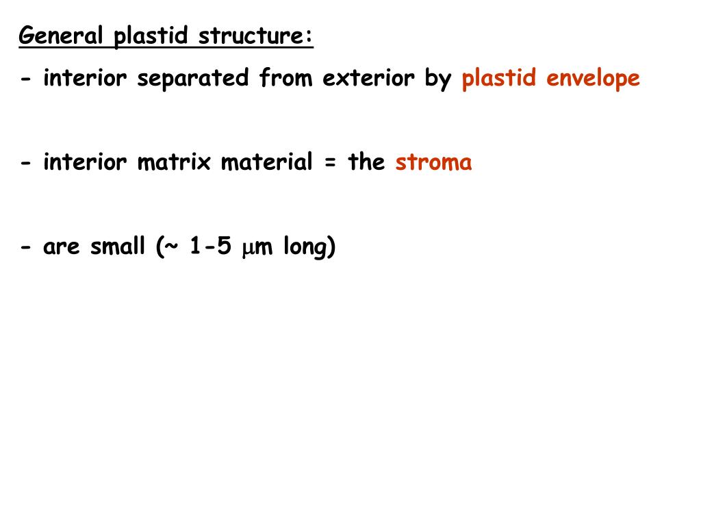 PPT - Plant cell structure plant cells are eukaryotic cells , and have ...