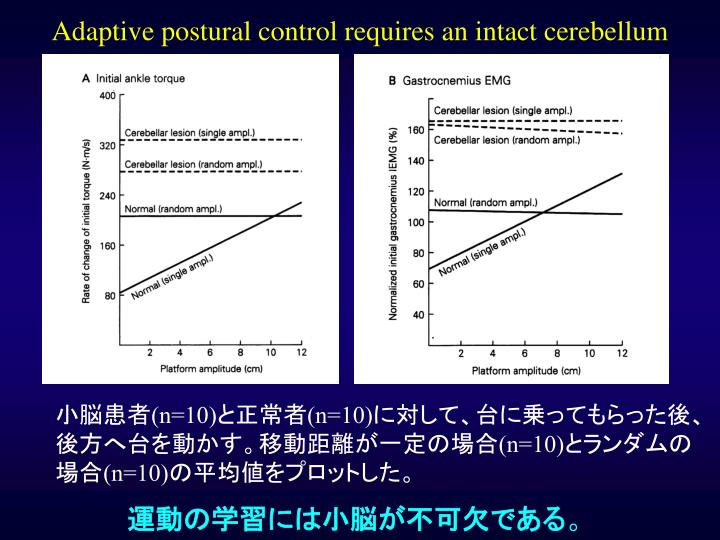 PPT - 前庭系の機能 Functional Aspects of the Vestibular System PowerPoint ...