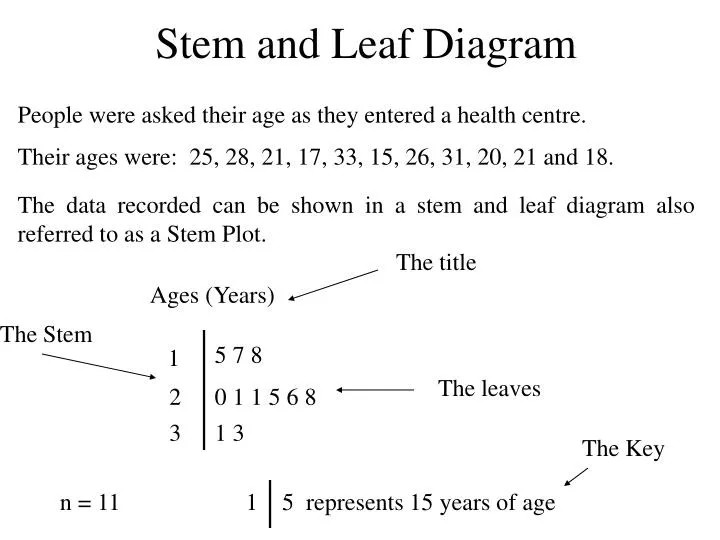Stem And Leaf Diagram Powerpoint Leafandtrees