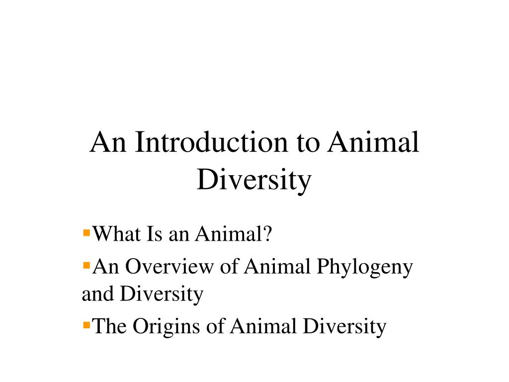 PPT - An Introduction to Animal Diversity PowerPoint Presentation, free ... PPT - An Introduction to Animal Diversity PowerPoint Presentation, free ...