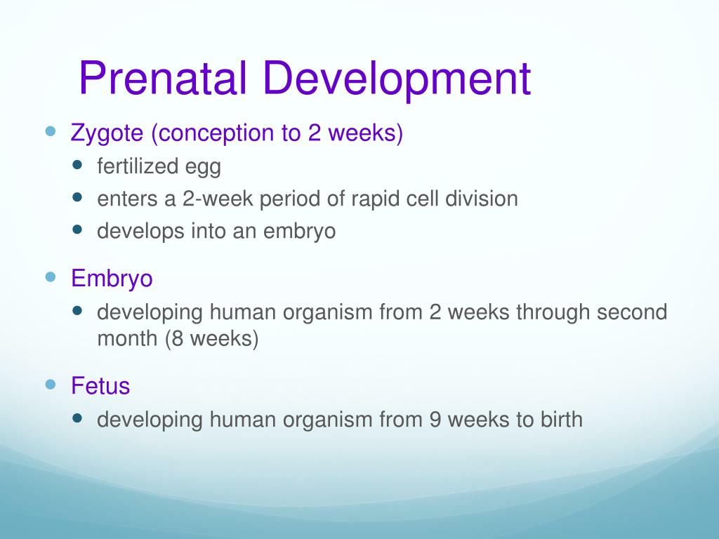 PPT - Chapter 4 Developing Through the Life Span Sara J. Buhl ...