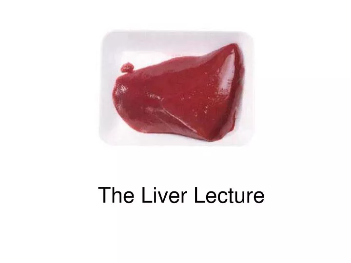 PPT - The Liver Lecture PowerPoint Presentation, free download - ID:704819