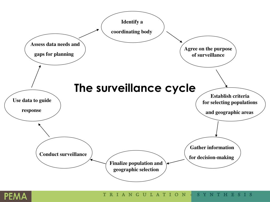 PPT - Pre-surveillance assessment New Strategies in HIV Surveillance ...