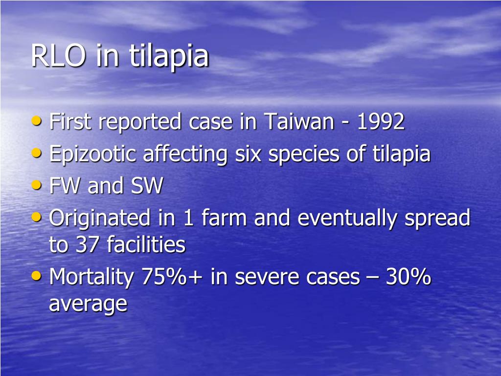 PPT - Hawaiian Rickettsia –like Organism (HRLO) PowerPoint Presentation ...