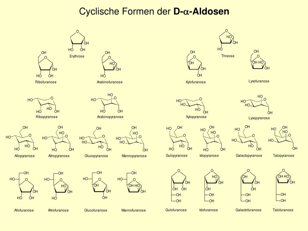 PPT - Thisbe K. Lindhorst, CAU Kiel Vorlesungsnetz Biologische Chemie ...