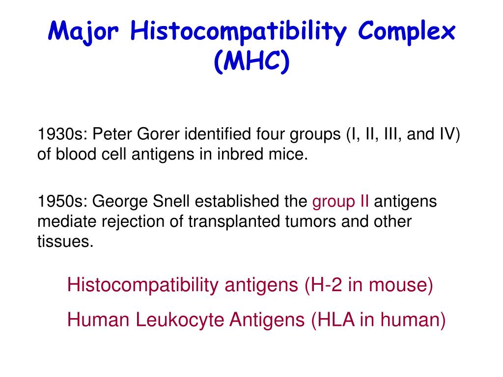 PPT - Introduction to Immunology PowerPoint Presentation, free download ...