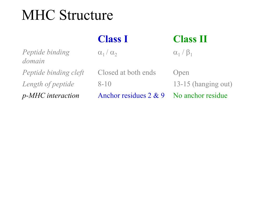 PPT - Introduction to Immunology PowerPoint Presentation, free download ...
