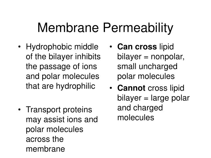 PPT - MEMBRANE STRUCTURE AND FUNCTION PowerPoint Presentation - ID:712074