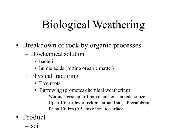 PPT - Terrigenous Sediments PowerPoint Presentation - ID:715259