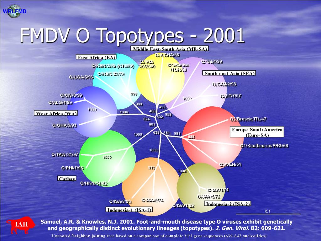 PPT - Identification of a Ninth Foot-and-Mouth Disease Virus Type O ...