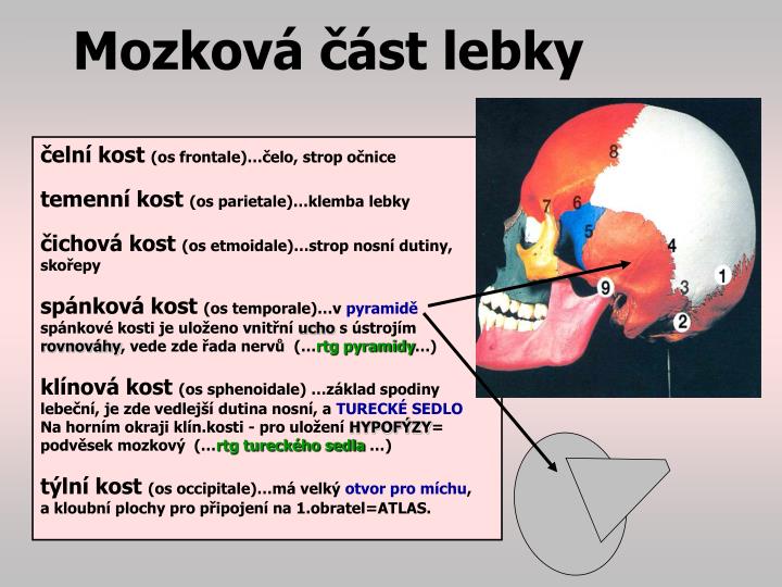 PPT - kostra PowerPoint Presentation - ID:720900