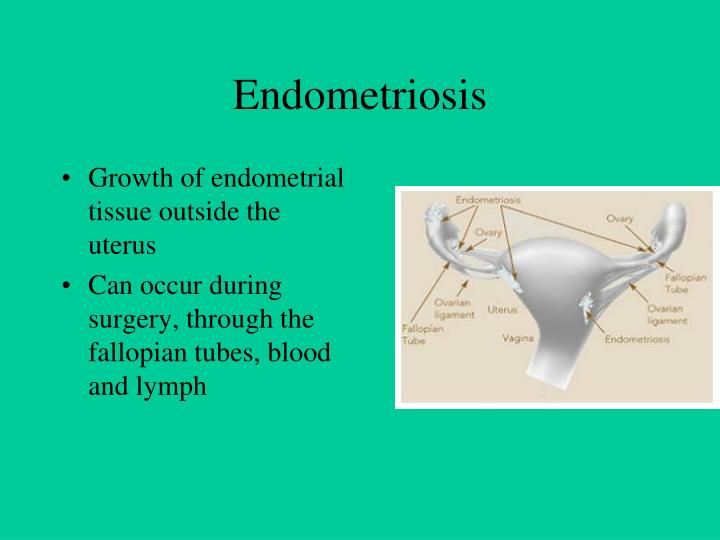 PPT - Reproductive System PowerPoint Presentation - ID:721337