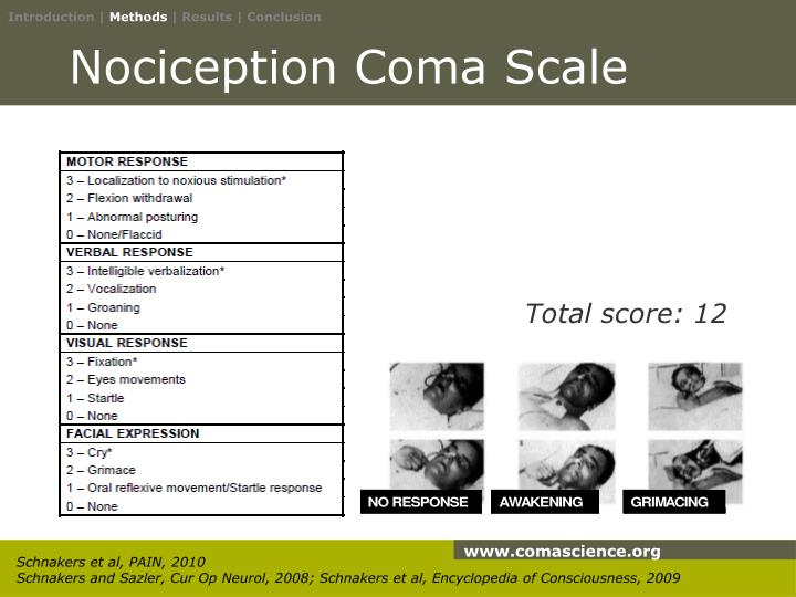 PPT - Assessing pain in disorders of consciousness: the Nociception ...