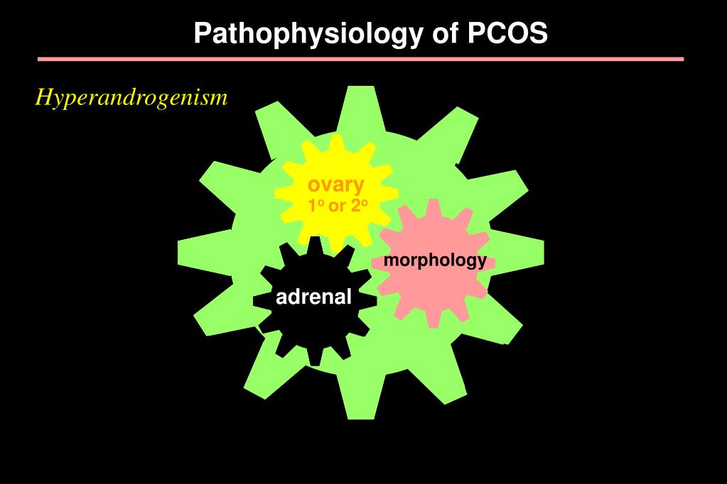 PPT - PCOS, dyslipidemia and CVD Nelly Pitteloud, MD Reproductive ...