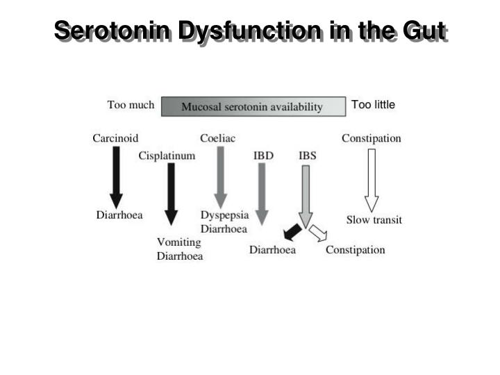 PPT - GASTROINTESTINAL PHARMACOLOGY PowerPoint Presentation - ID:723443