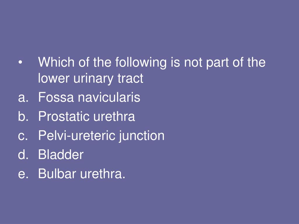 PPT - Surgical Management of Lower Urinary Tract Obstruction ...