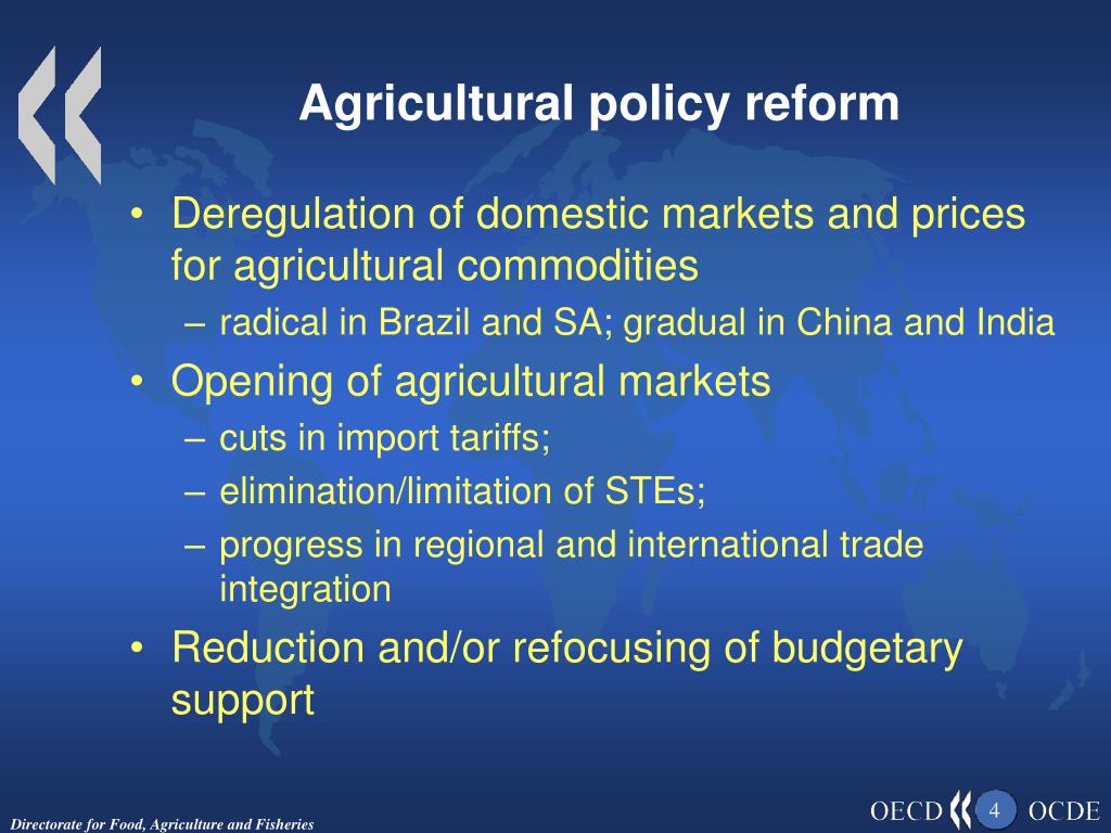 PPT - OECD Work on Agricultural Policies in Brazil, China, India, South ...