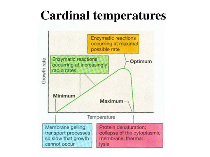 PPT - Bacterial Growth Unusual Growth Conditions Microbial Diversity ...