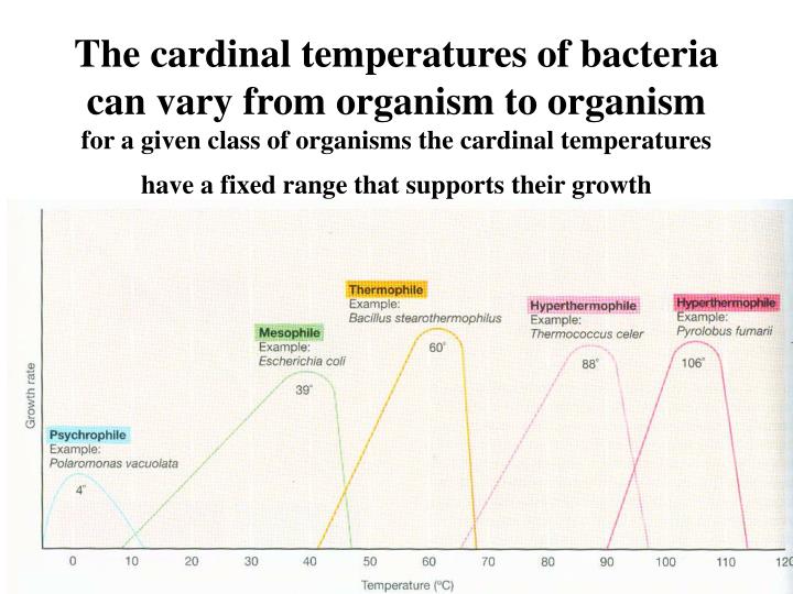 PPT - Bacterial Growth Unusual Growth Conditions Microbial Diversity ...