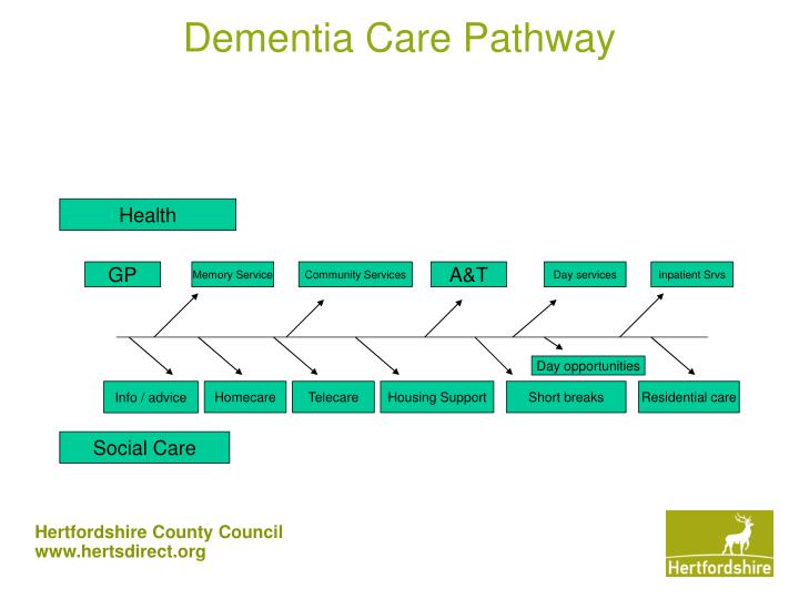 PPT - DEVELOPING THE WORKFORCE TO IMPROVE OUTCOMES FOR PEOPLE WITH ...