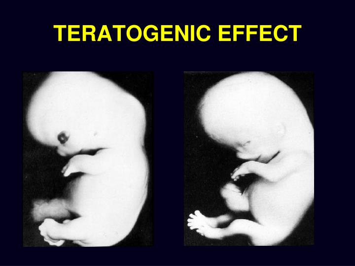 PPT - EFFECT OF MATERNAL DRUGS ON FETUS PowerPoint Presentation - ID:727467