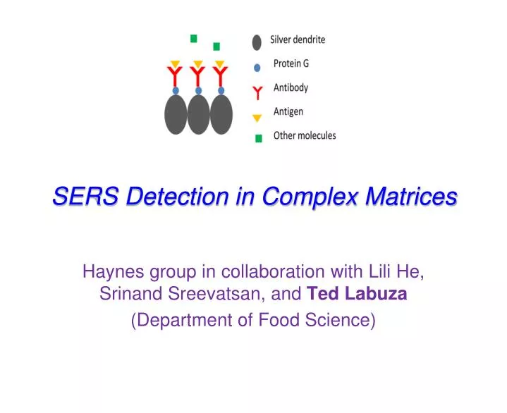 PPT - SERS Detection in Complex Matrices PowerPoint Presentation, free ...