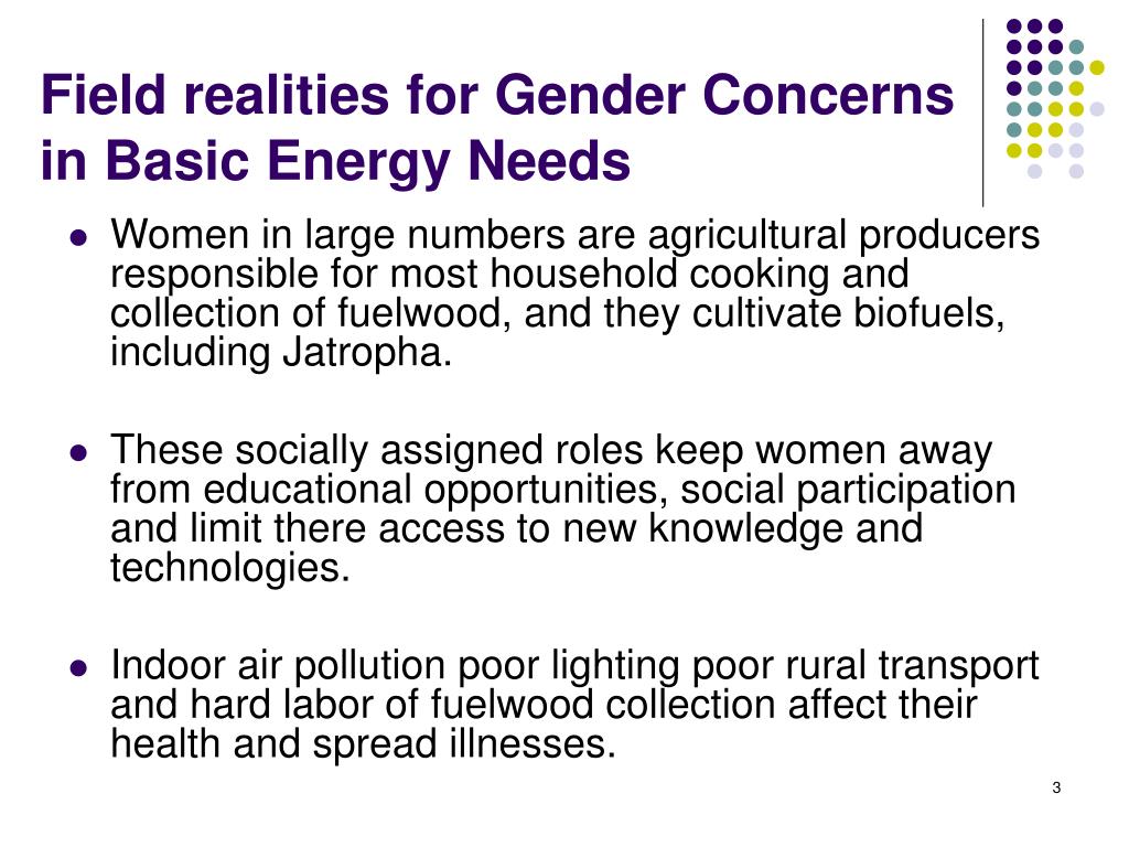 PPT - Meeting Gender Equitable Basic Energy Needs: Supply and Demand of ...
