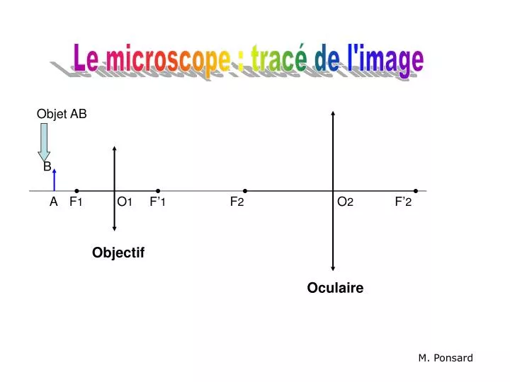 PPT - Le microscope : tracé de l'image PowerPoint Presentation, free ...