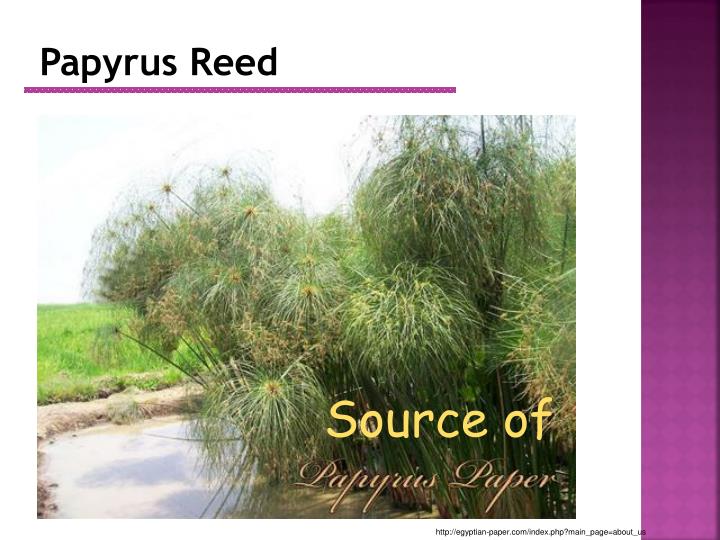 PPT - THE BEGINNINGS OF WRITING: HIEROGLYPHICS AND MORE IN ANCIENT ...